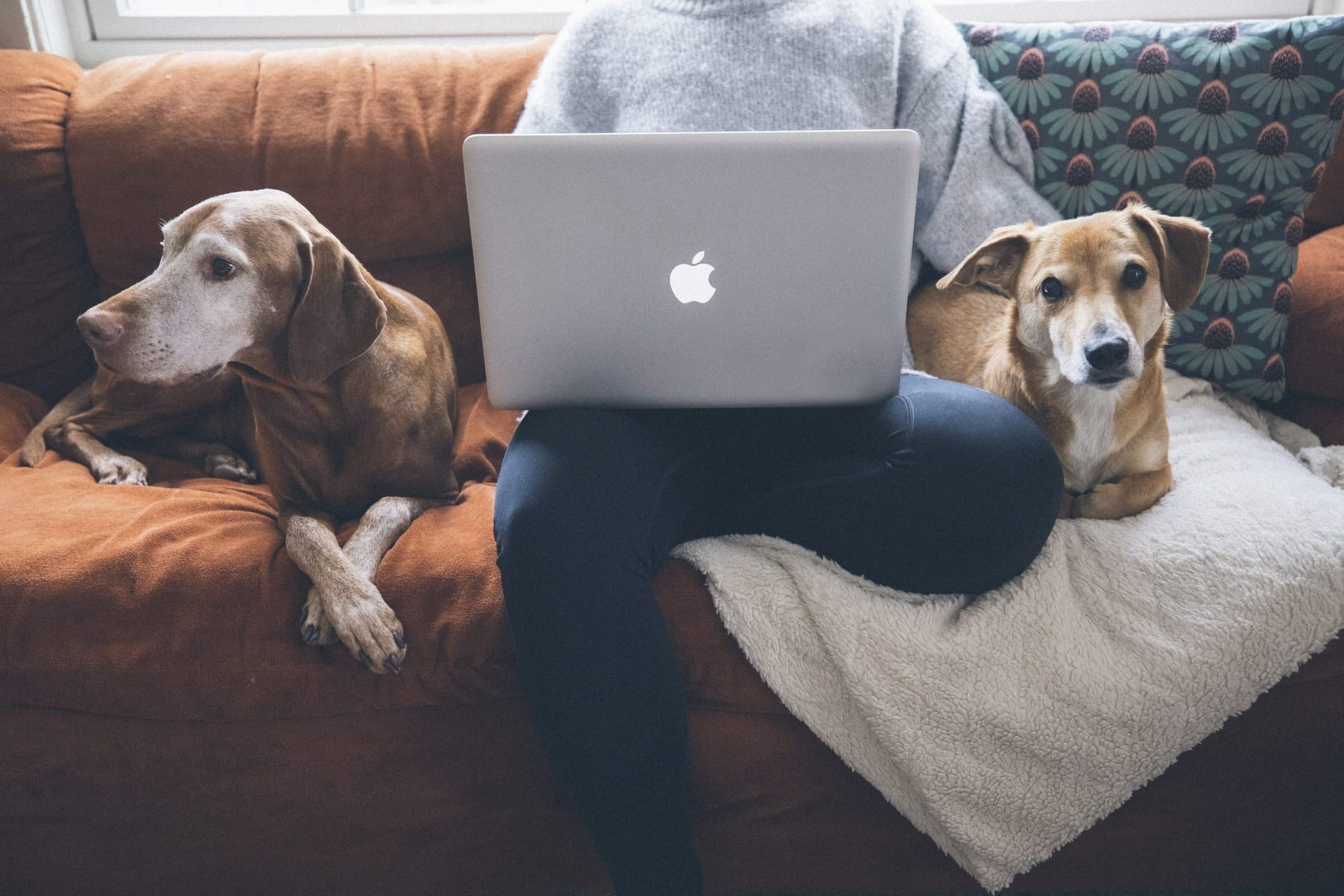 Grow Your Brand Faster with Social-First Marketing | KW Content Blog